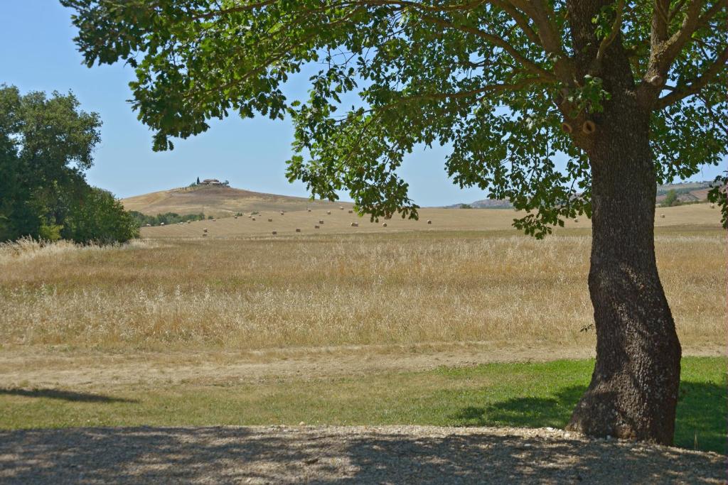Chiarentana di Donata Origo, Chianciano Terme (aktualisierte Preise für ...