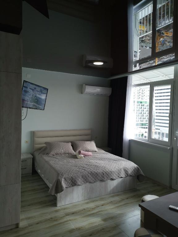 Batumi magnolia, Batumi – Harga Terkini 2024