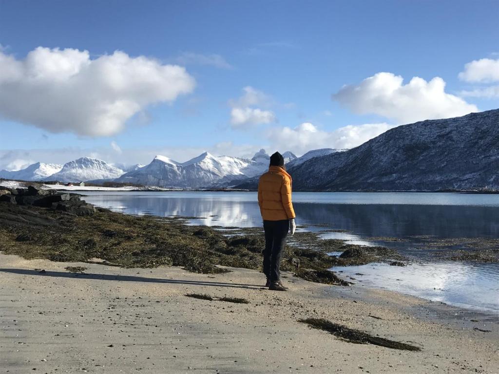 Steigen Lodge Sjøhytter, Engeløya (updated prices 2025)
