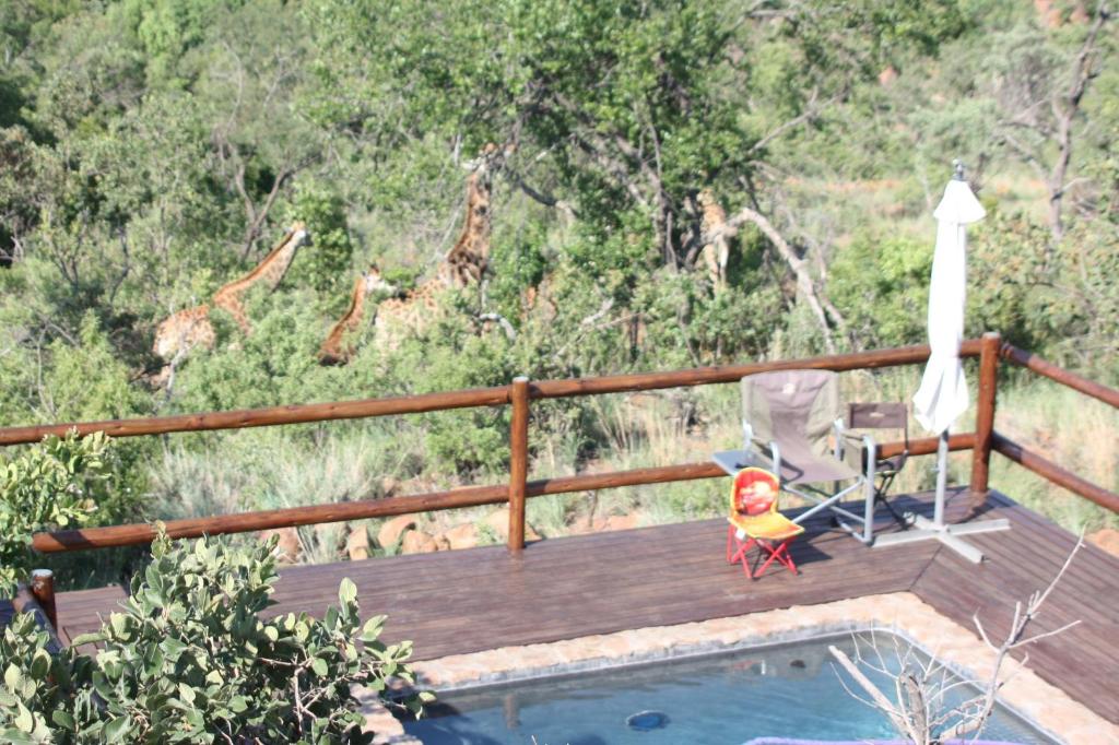 Twenty Four Mabalingwe Nature Reserve, Mabula (updated prices 2025)