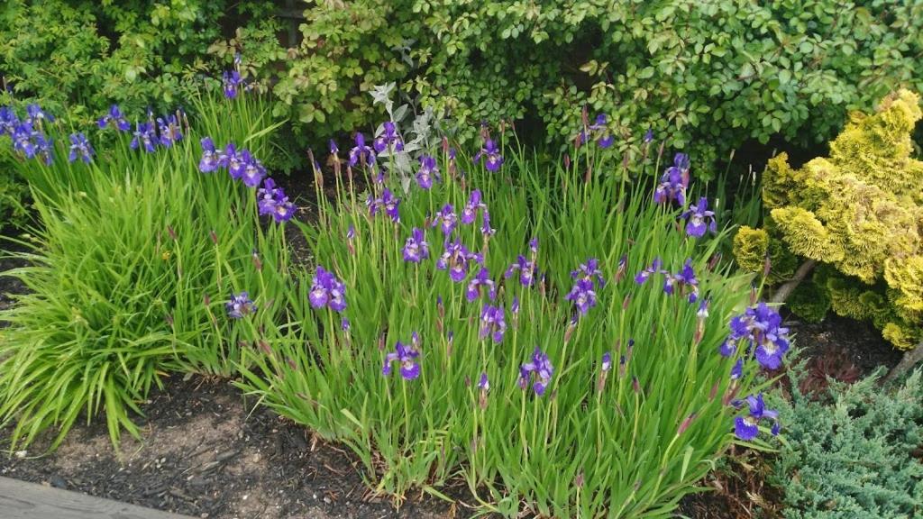 Coastal Inn - Kingfisher, Digby (updated prices 2025)