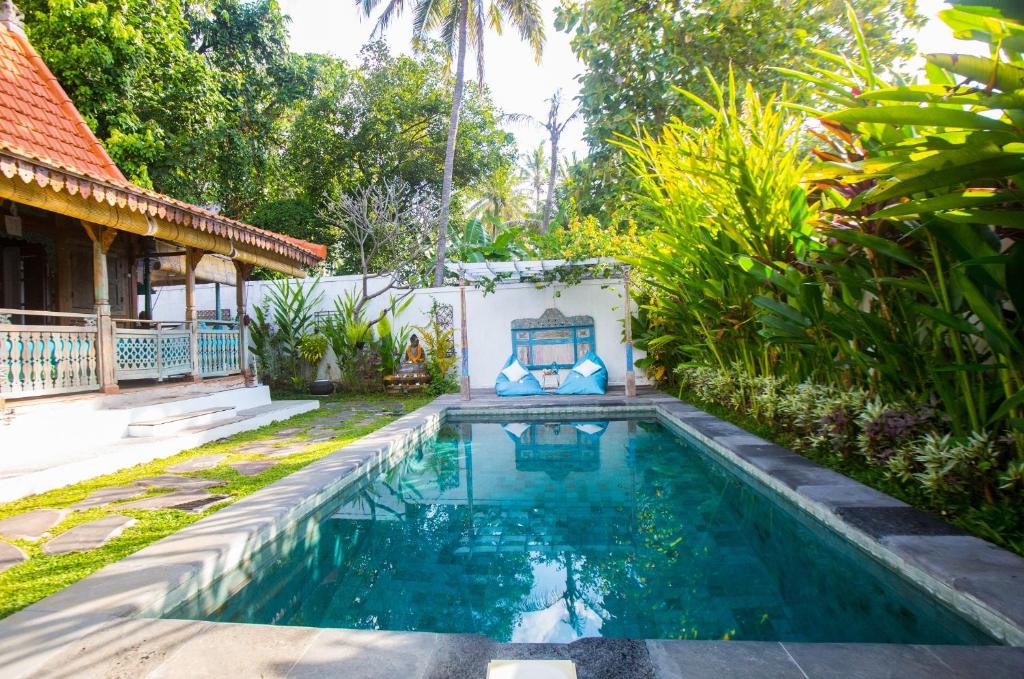 Lata Lama, Lovina (updated prices 2025)