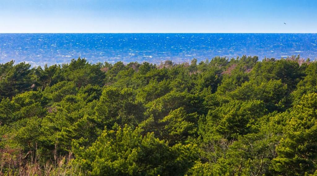 Palanga Sea View, Palanga (updated prices 2024)