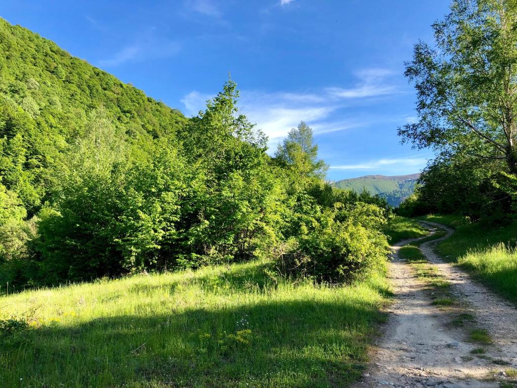 Villa ORKA Pelister - Forest Zone, Bitola (updated prices 2025)