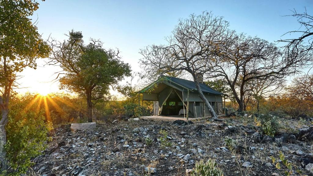 ZuriCamp - Tent Amani, Tsumeb – Updated 2023 Prices