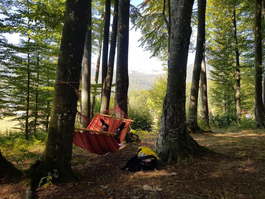 Mountain Tale/ Casa de la Cheia, Cheia (tarifs actualisés 2024)