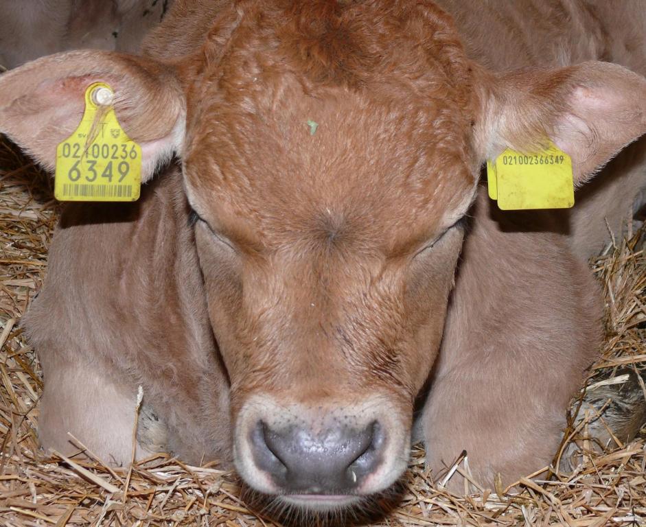 ban Hofa, Bressanone (updated prices 2025)