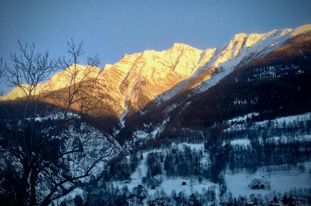 Arve, Bitsch (updated prices 2026)