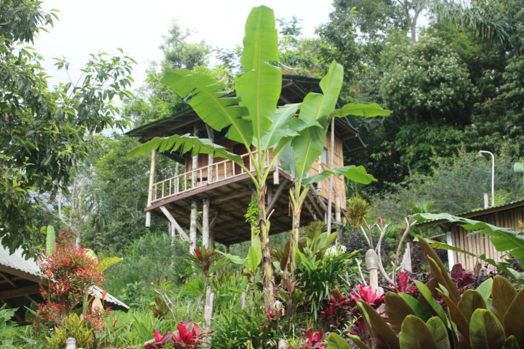Bali Tree House Pelangi, Bedugul (updated prices 2025)