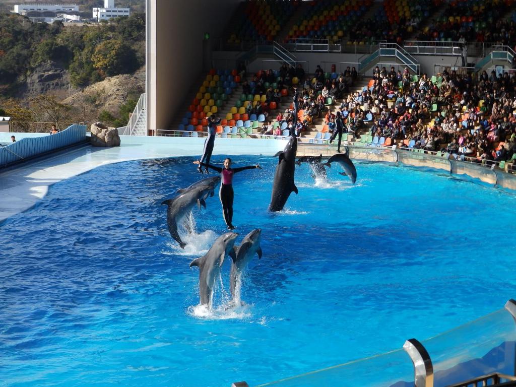 【Shirahama beachside villa】白濱住宿推薦、訂房優惠 | FunTime國外訂房比價