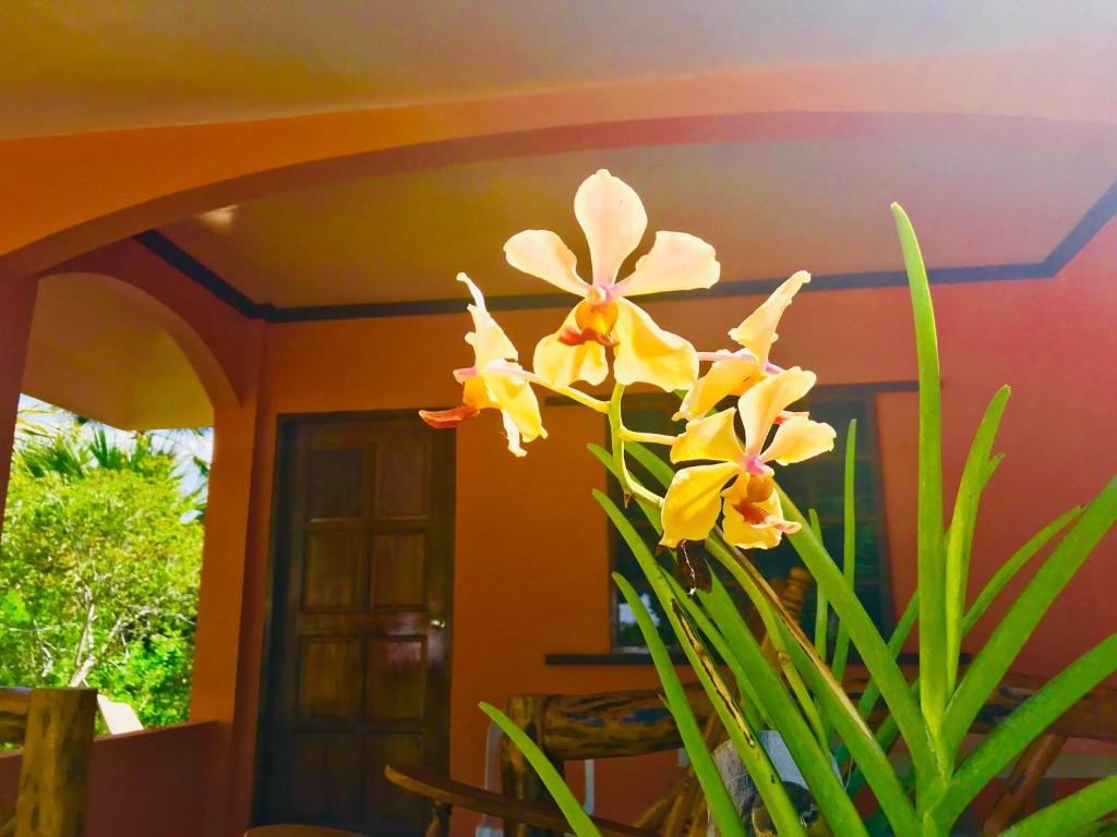 Chekesh Casa, Siquijor – Updated 2023 Prices