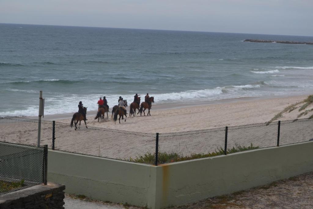 SUNKISSED OFIR HOUSE, Fão (updated prices 2025)