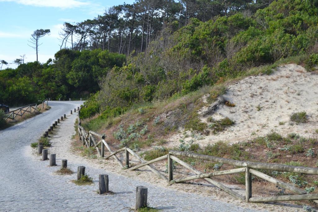 SUNKISSED OFIR HOUSE, Fão (updated prices 2025)