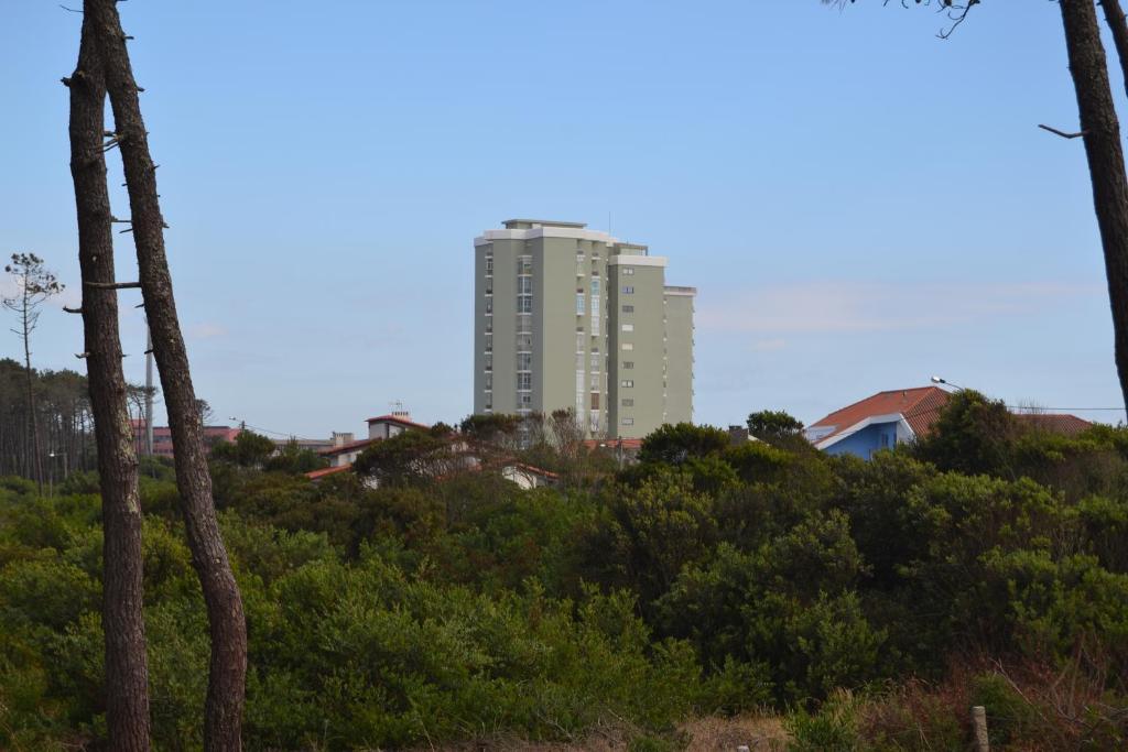 SUNKISSED OFIR HOUSE, Fão (updated prices 2025)