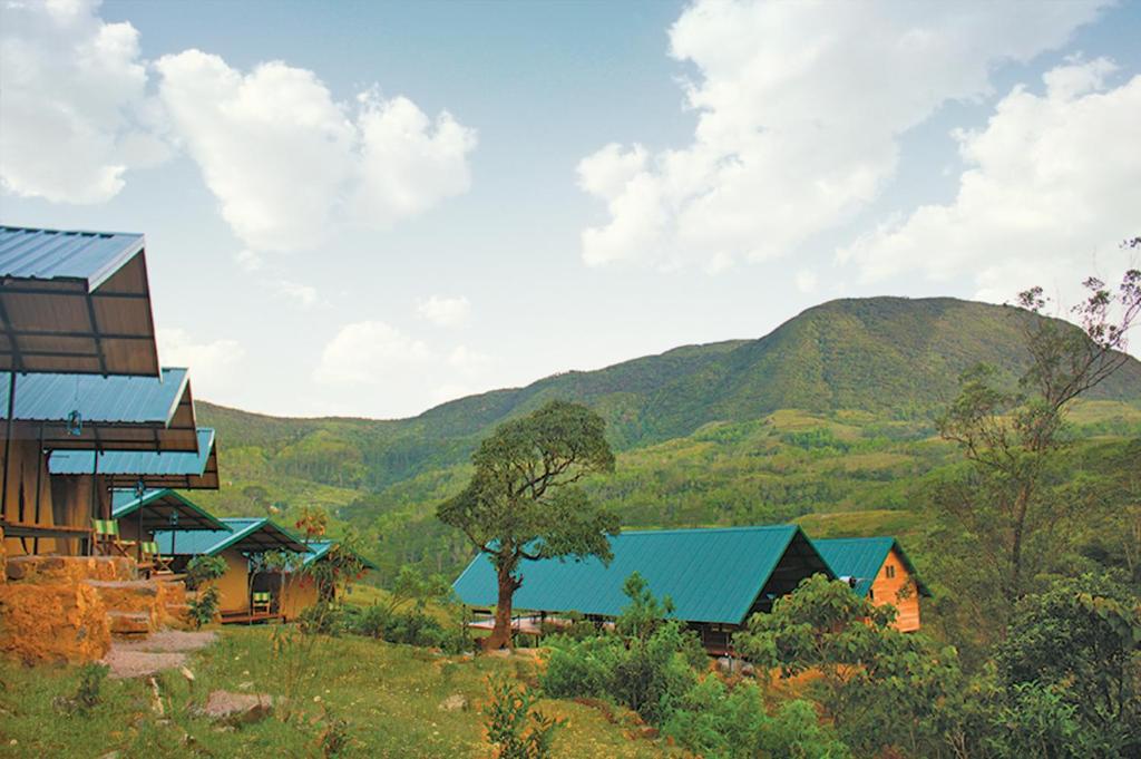 Wild Glamping Knuckles, Rangala – Updated 2022 Prices
