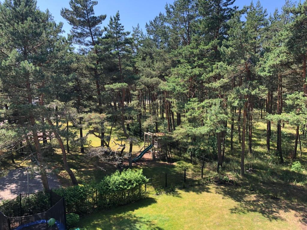 Cunami, Nida (updated prices 2025)