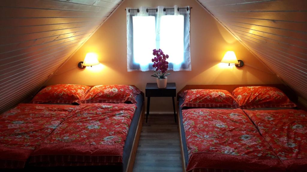 Buscar - SuiteTrails