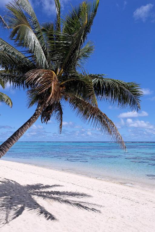 Sands Villas, Rarotonga – Updated 2022 Prices