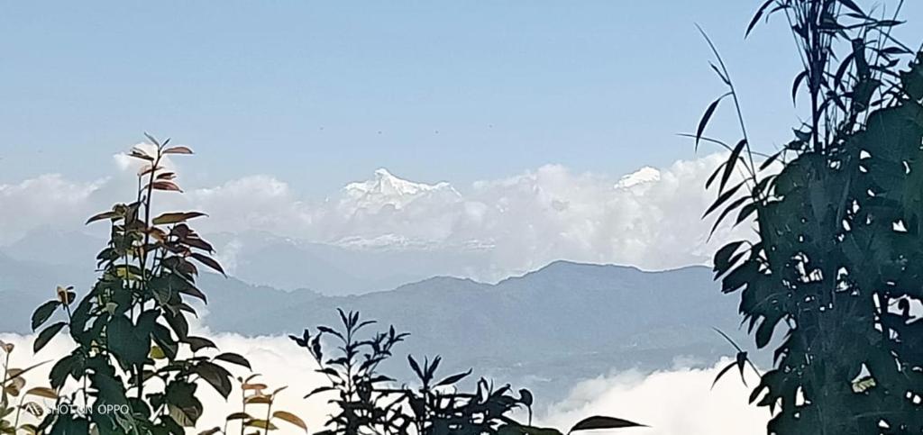 Padma Homestay - Dhotrey, Sukhia Pokhari (updated prices 2026)