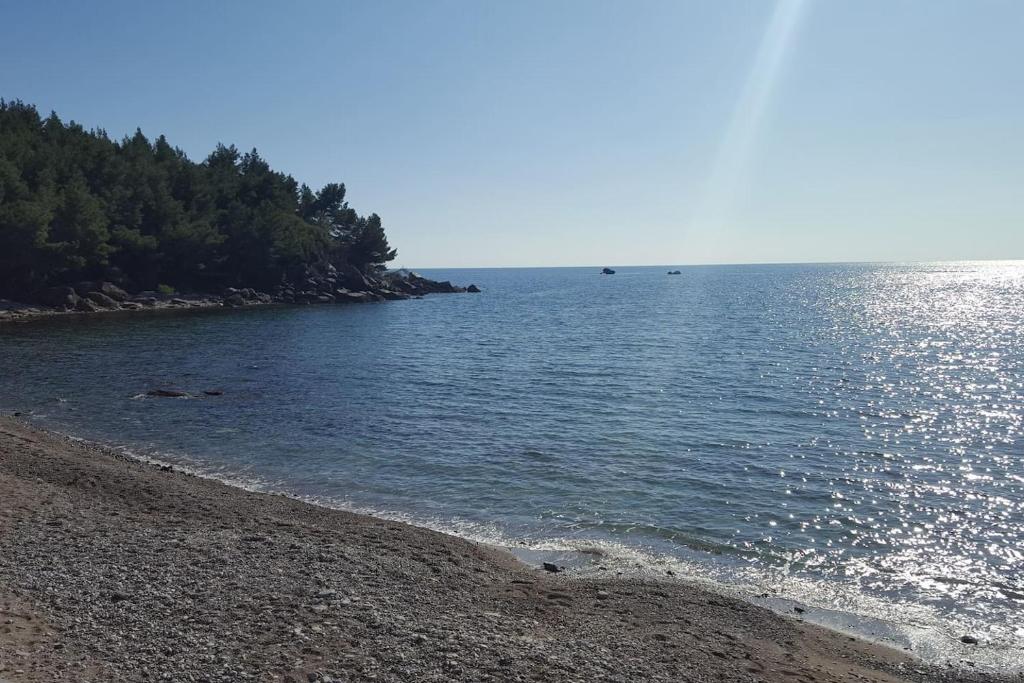 Sutomore, Sutomore (updated prices 2025)