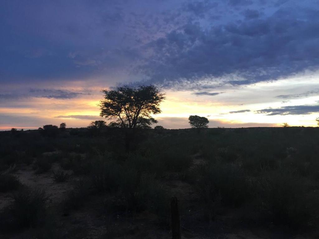 Kalahari Cottage, Askham (updated prices 2025)