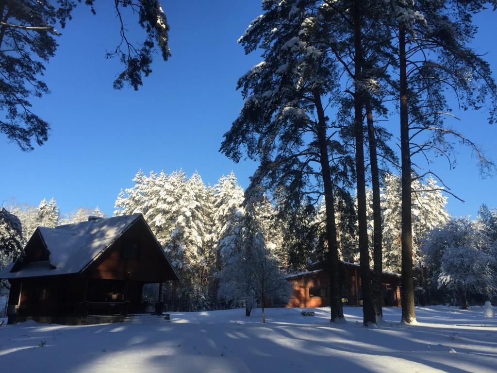 Rojaus Slenis, Druskininkai (updated prices 2025)