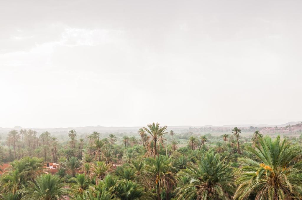 Dar Chamaa, Ouarzazate (updated prices 2025)