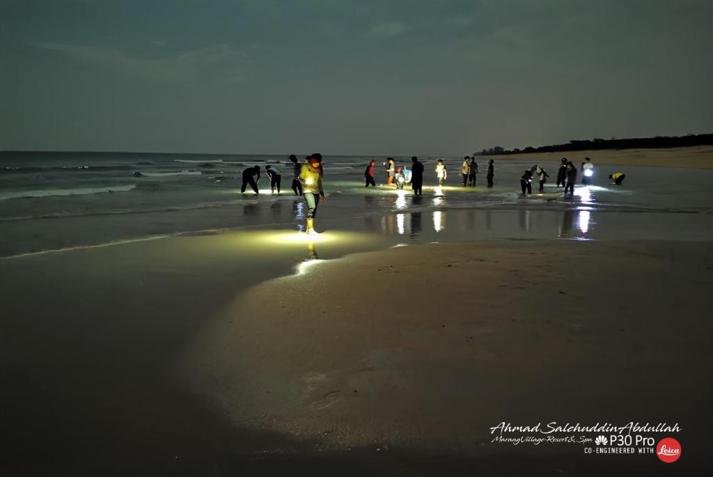 Marang Village Resort, Marang (updated prices 2025)