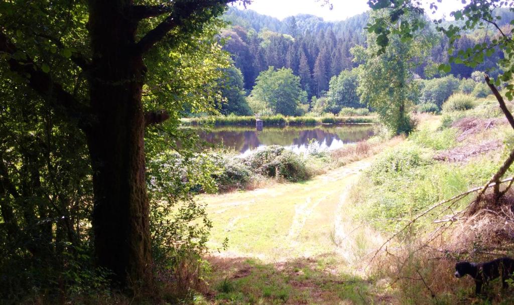 Travel guide Nedde, France - Where to Sleep & Things to Do