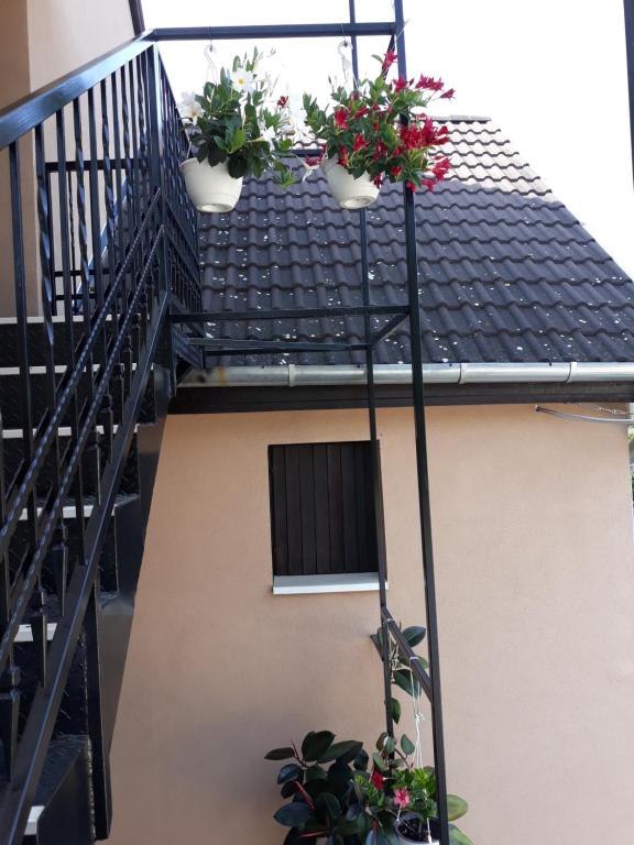 Sebes Apartman | Apartment in Sebes utca, Hungary