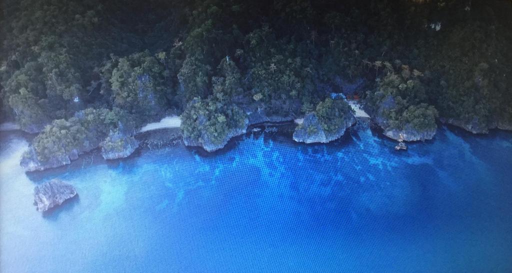 Turtle Cove Island Resort BACKPACKERS RETREAT, Calatrava – Updated 2023 ...