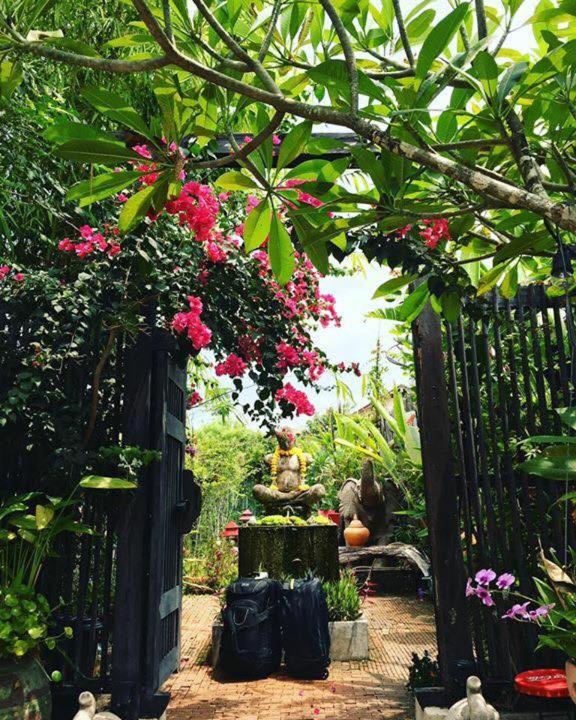 Artist's Place Trat, Trat (updated prices 2025)