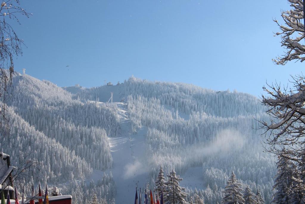 Pensiunea Colina in Poiana Brasov