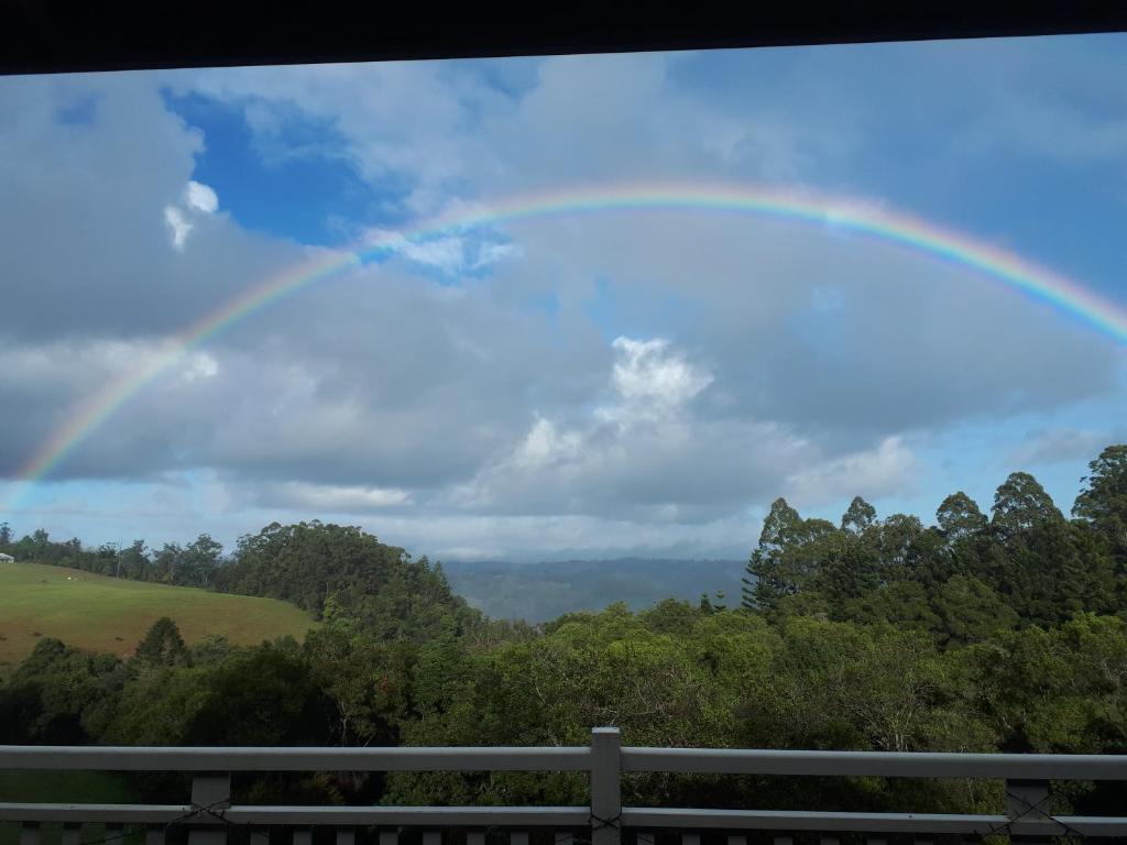 The Spotted Chook and Amelie's Petite Maison, Montville (updated prices ...