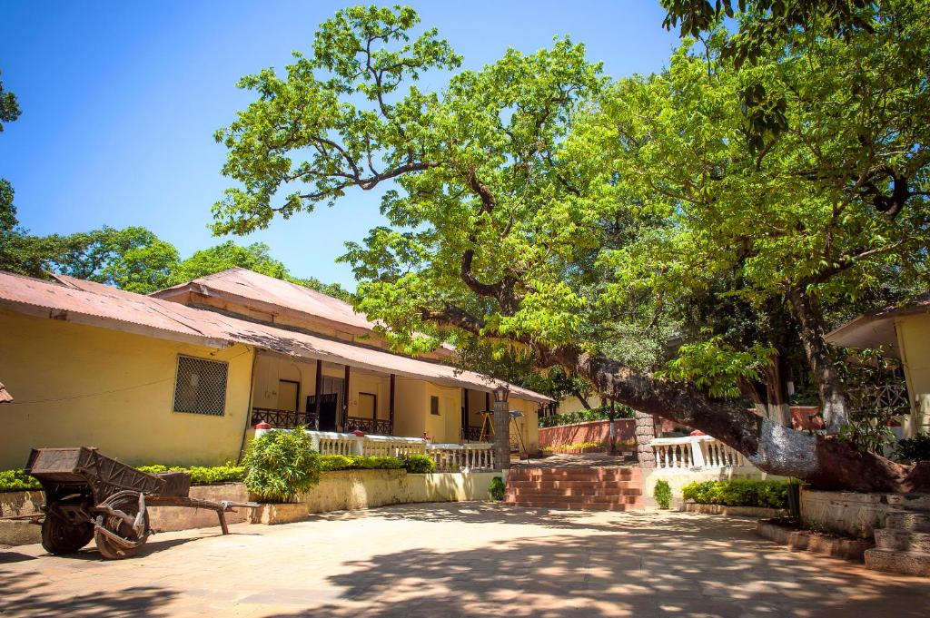 19 Resorts In and Near Bhimashankar