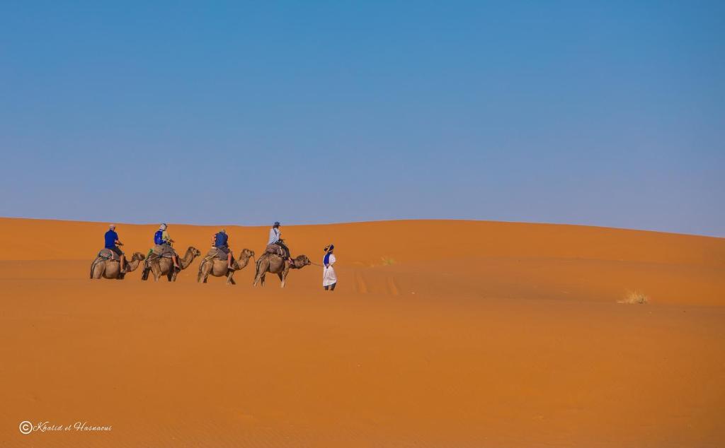 Kasbah Hotel Ziz Palace Rissani, Rissani – Updated 2023 Prices