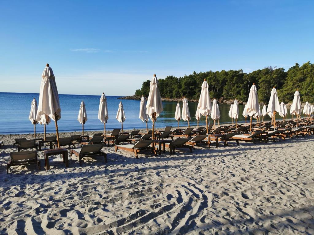 Maki Apartments - Plavi Horizonti Beach, Tivat (precios actualizados 2025)