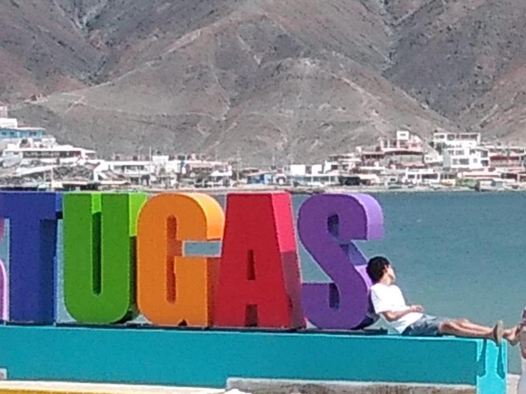 Tortugas La Casa De Joaquin - Casma