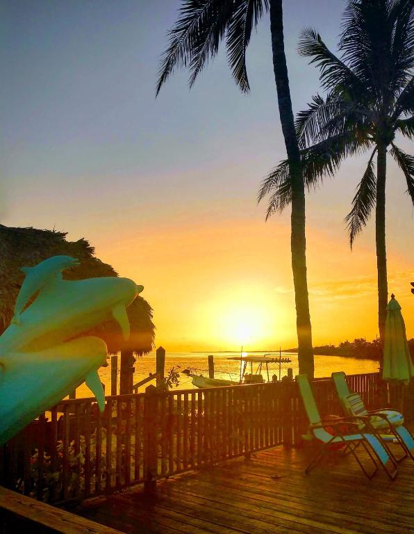 Conch Key Fishing Lodge & Marina, Conch Key – Updated 2023 Prices