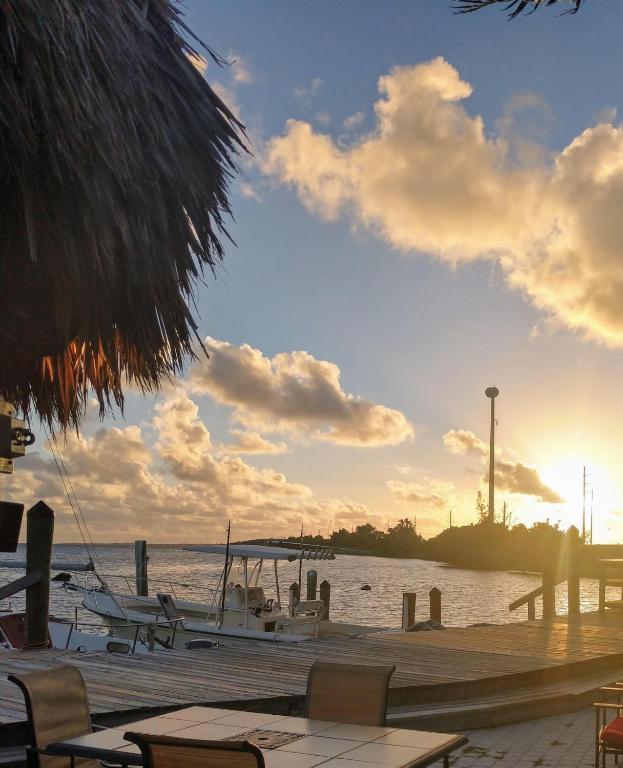 Conch Key Fishing Lodge & Marina, Conch Key (updated prices 2025)