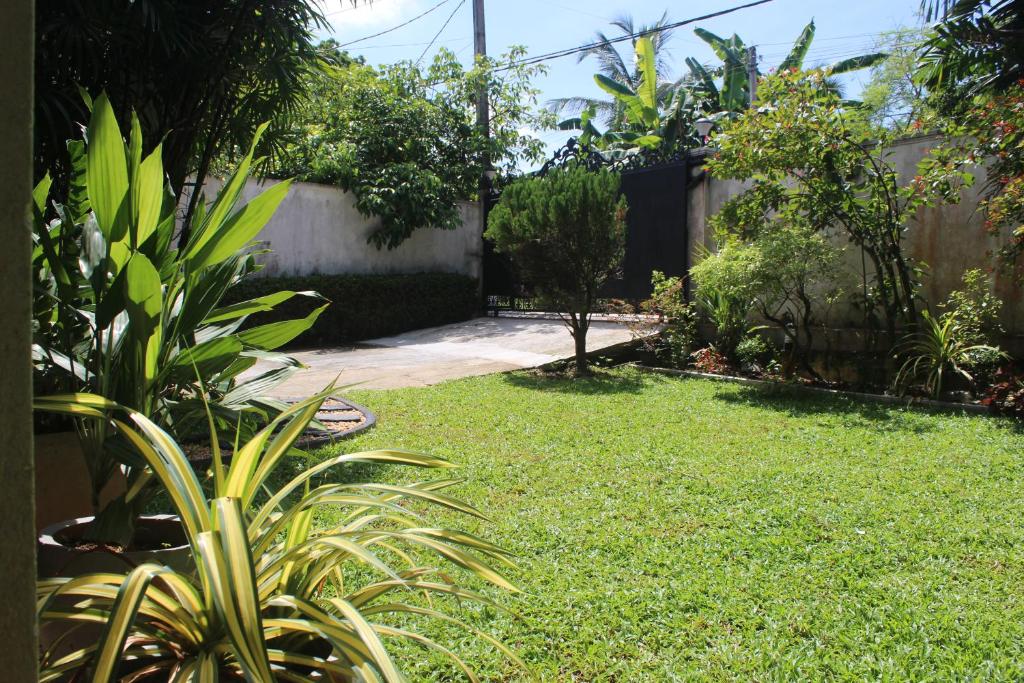 Bird's Nest by Natures Bliss | B&B in Ragama, Sri Lanka