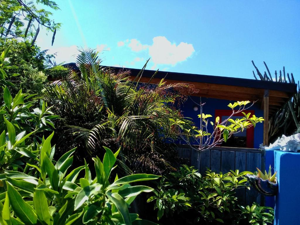 Hopi Cadushi Studio en Santa Cruz - Traveleto