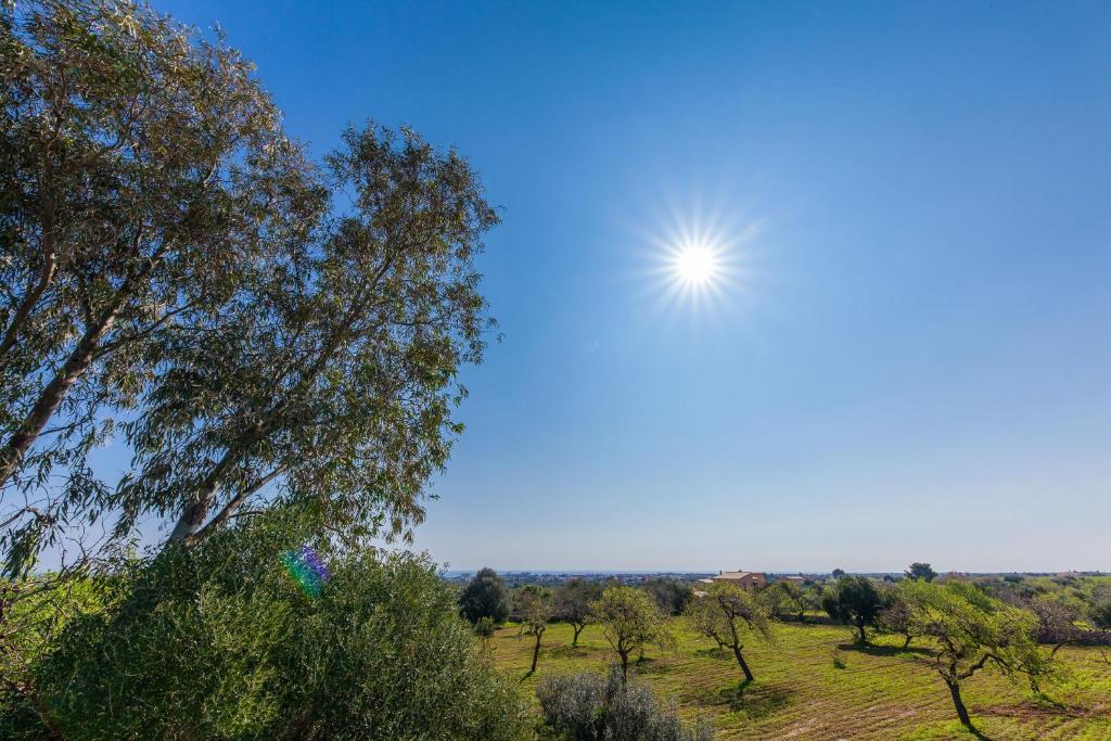 Sa Casona, Portocolom (updated prices 2025)