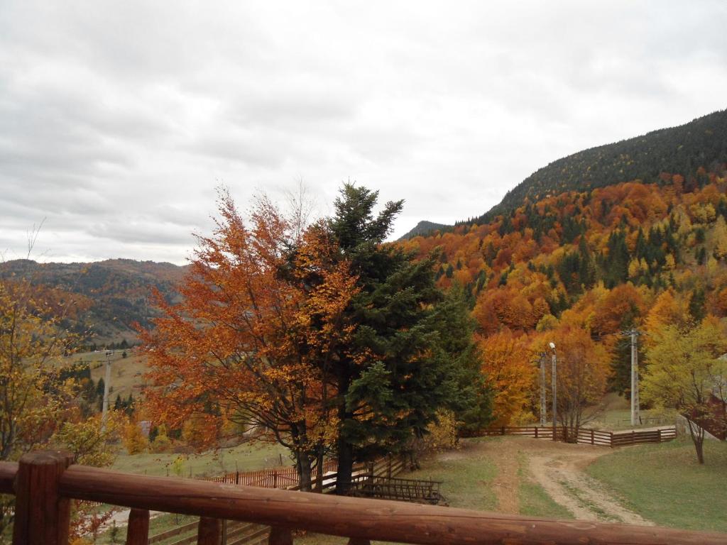 Veresko Villa, Lacu Rosu (updated prices 2025)