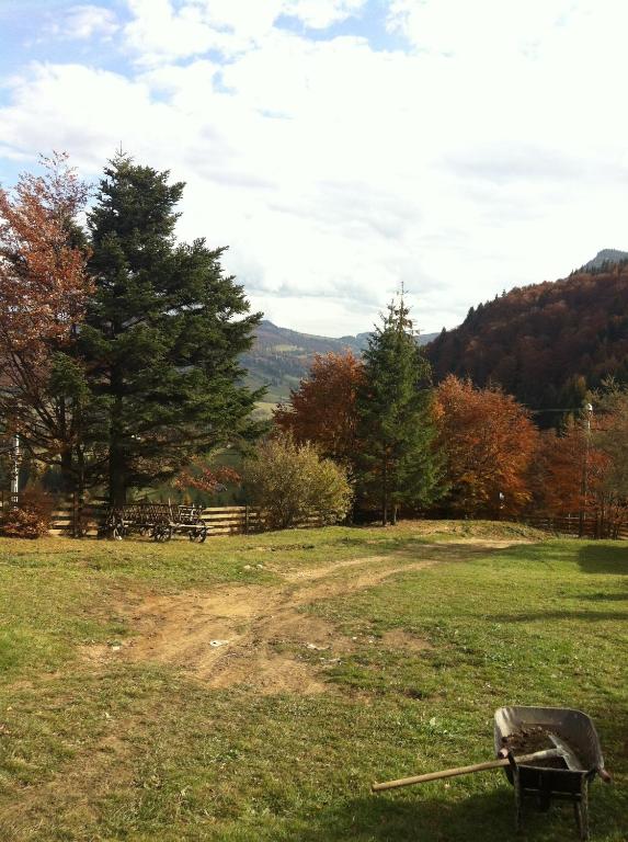 Veresko Villa, Lacu Rosu (updated prices 2025)