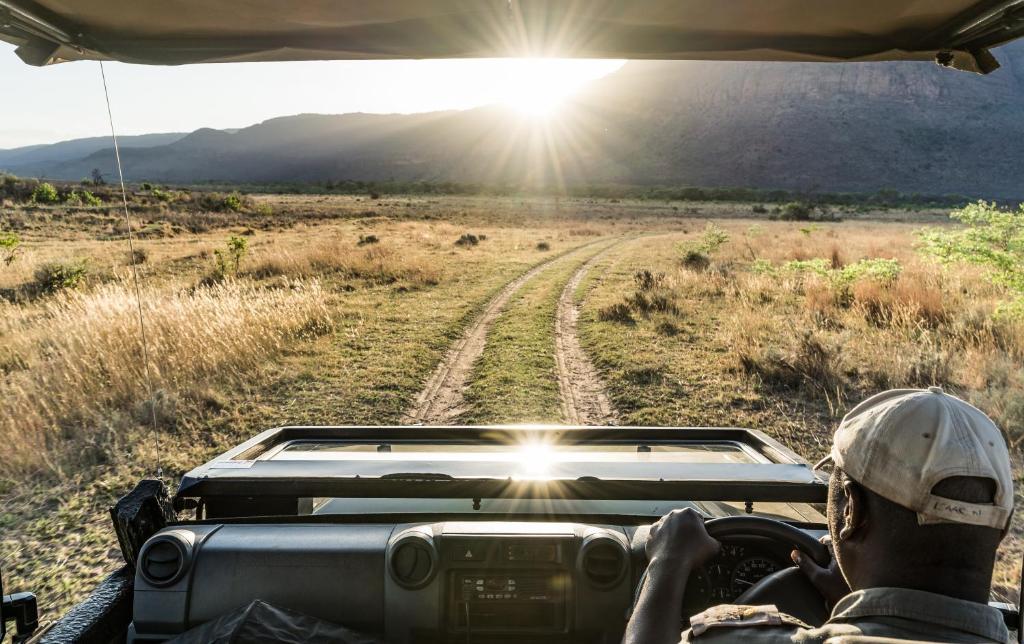 Wildside Safari Camp, Golders Green (precios actualizados 2026)