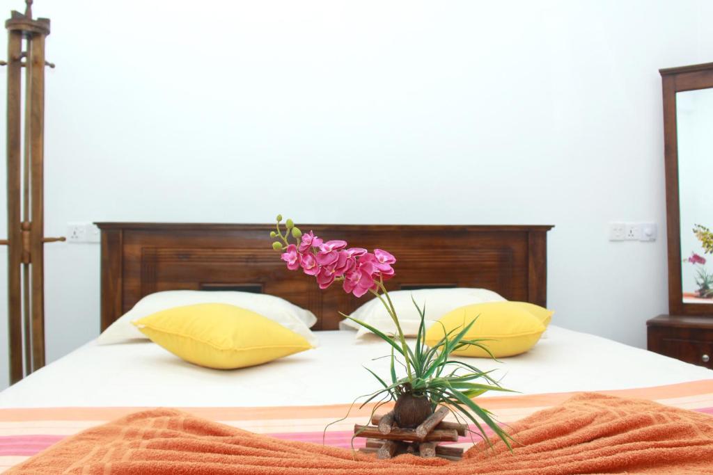 Coconut Tree Shade, Mirissa (updated prices 2025)