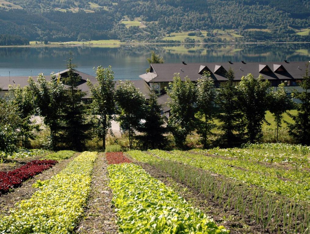 Voss Vandrarheim Hostel, Vossevangen (updated prices 2025)