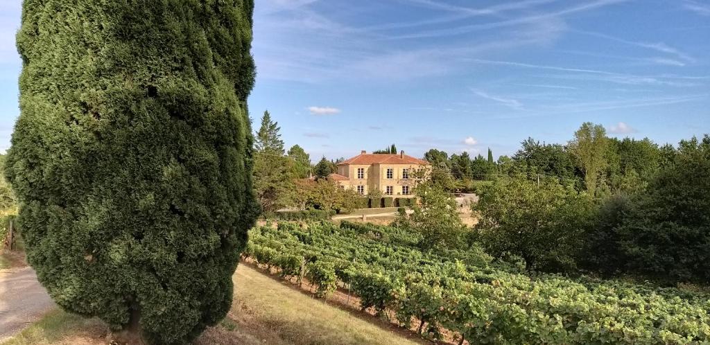 Château de Rouffiac Duravel (ราคาอัปเดตปี 2025)
