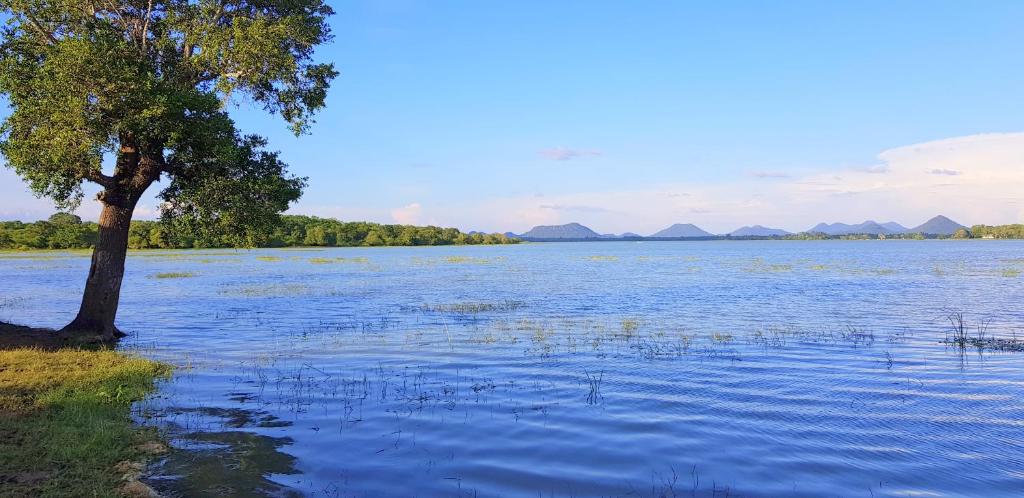 Flower Garden Lake Resort, Tissamaharama (bijgewerkte prijzen 2025)